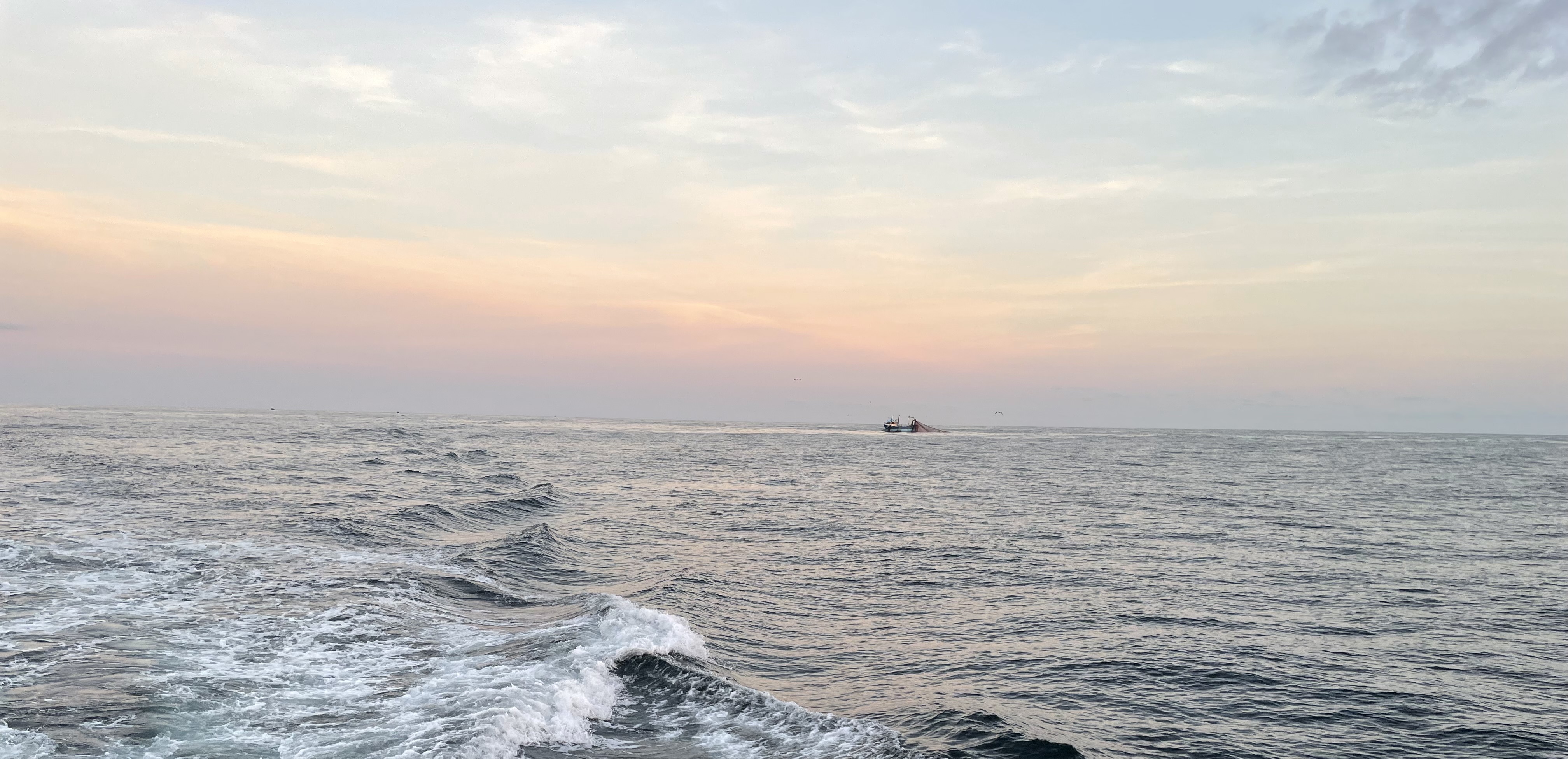 Location radeaux de survie professionnels